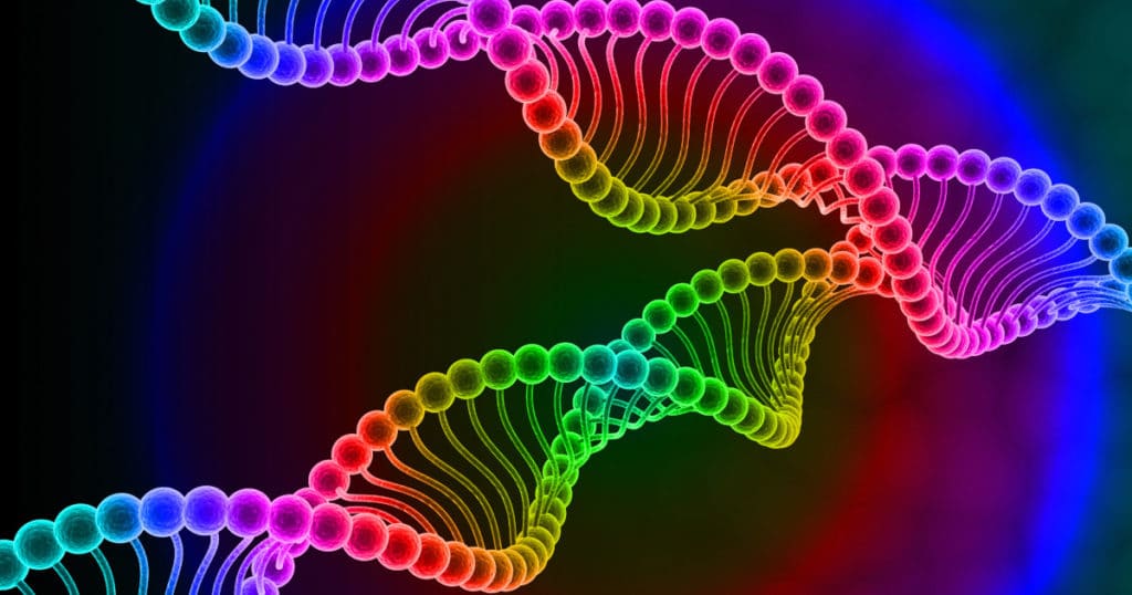 Biologia: Studio sul DNA mette in dubbio l'ereditarietà genetica ...